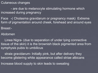 physiological changes during pregnancy | PPT
