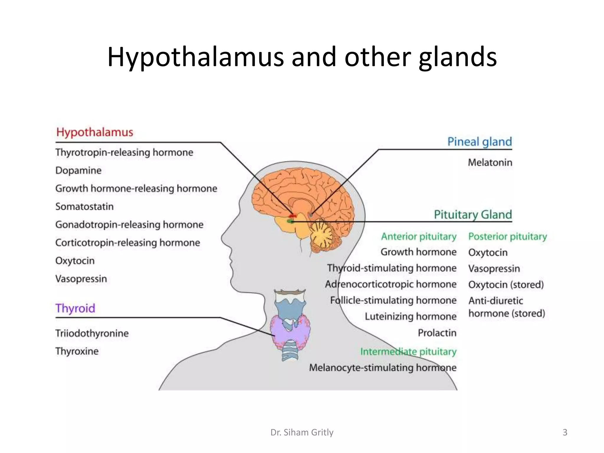 1 physiology of feedimg, appetite & hunger | PPTX