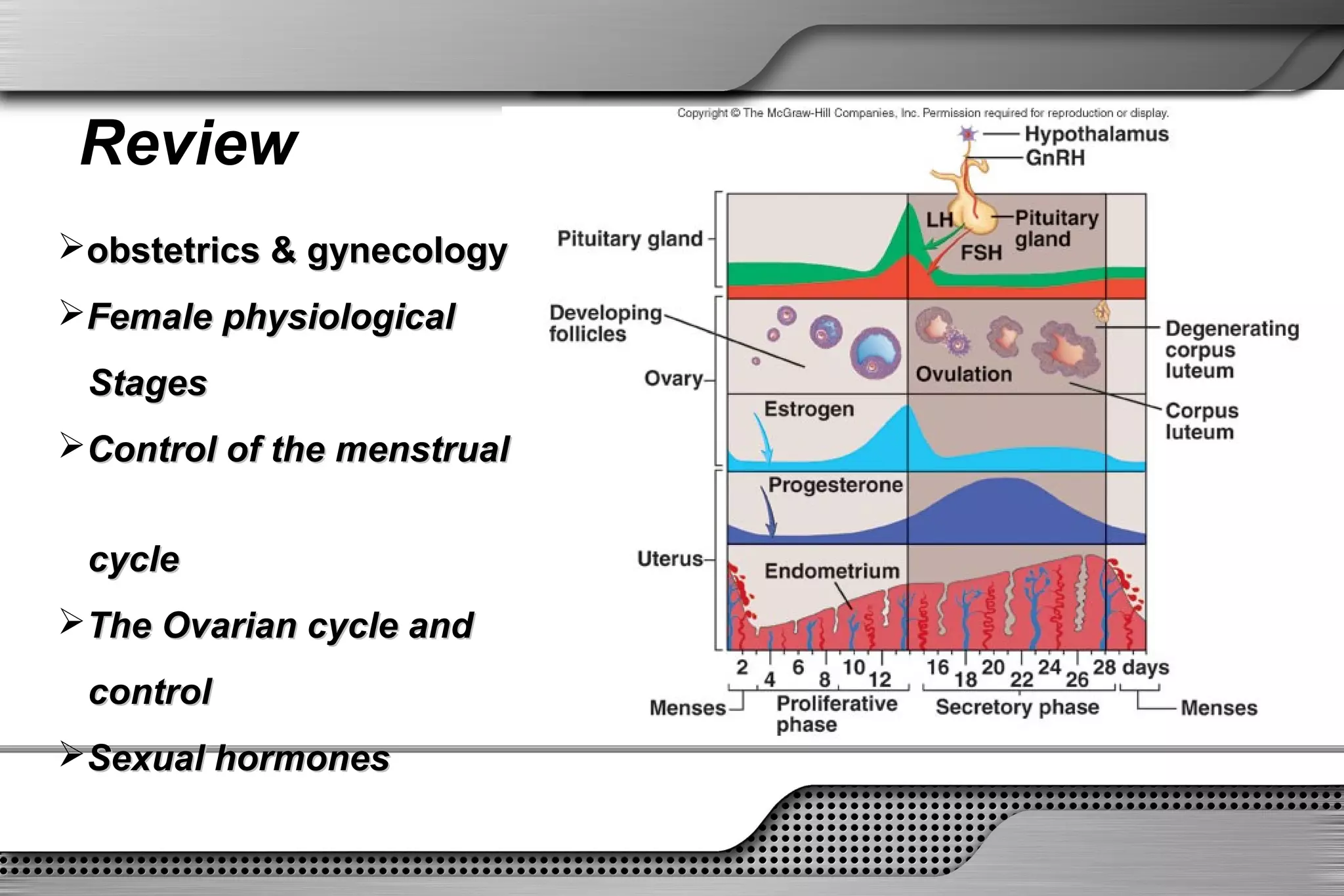 1 physiology of pregnancy | PPT | Pregnancy | Reproductive Health