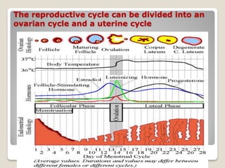 1 Physiology of reproduction. Normal menstrual cycle..pdf