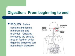 #1 physiology of the digestive system | PPT
