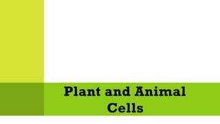 General Biology Lesson 1 Plant and Animal Cells.pptx