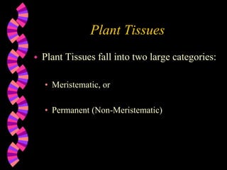 (1) Plant Tissues.ppt