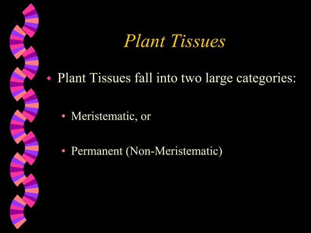 (1) Plant Tissues.ppt