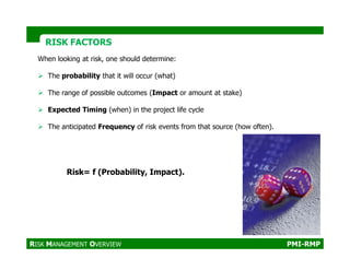 1_PMI-RMP_Project Risk Management Plan | PDF