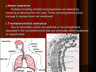 1pneumonia | PPT