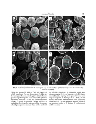 1 pollen morphology and pollen elemental composition of selected ...