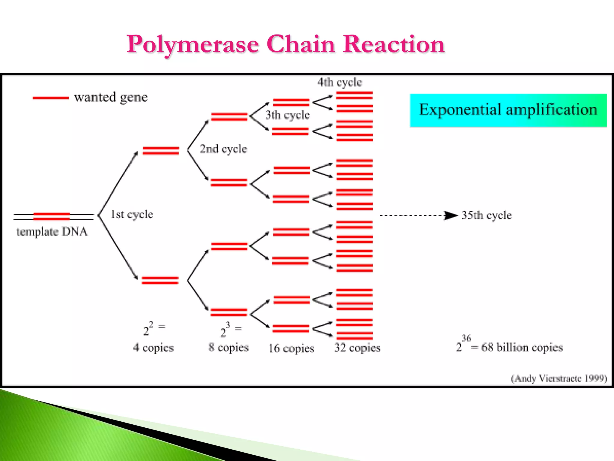 Polymerase chain reaction | PPTX