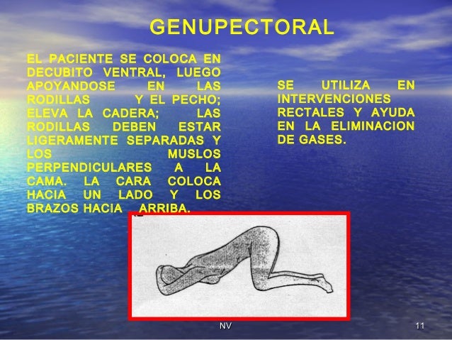 Posiciones anatomicas y usos