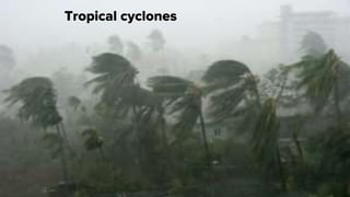 1 PPT-Climate of Pakistan and Its impact.pptx