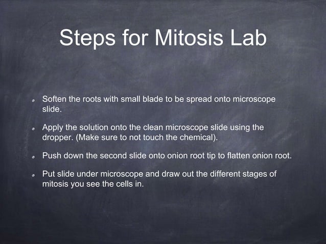 Mitosis 1 Onion Lab - Hira Zahid | PPT