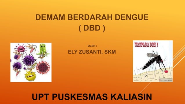 1 PPT DBD.pptx