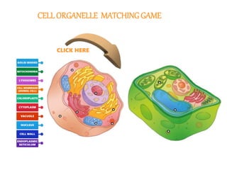 1_PPT_LEARNING UNIT_THE_CELL.ppt