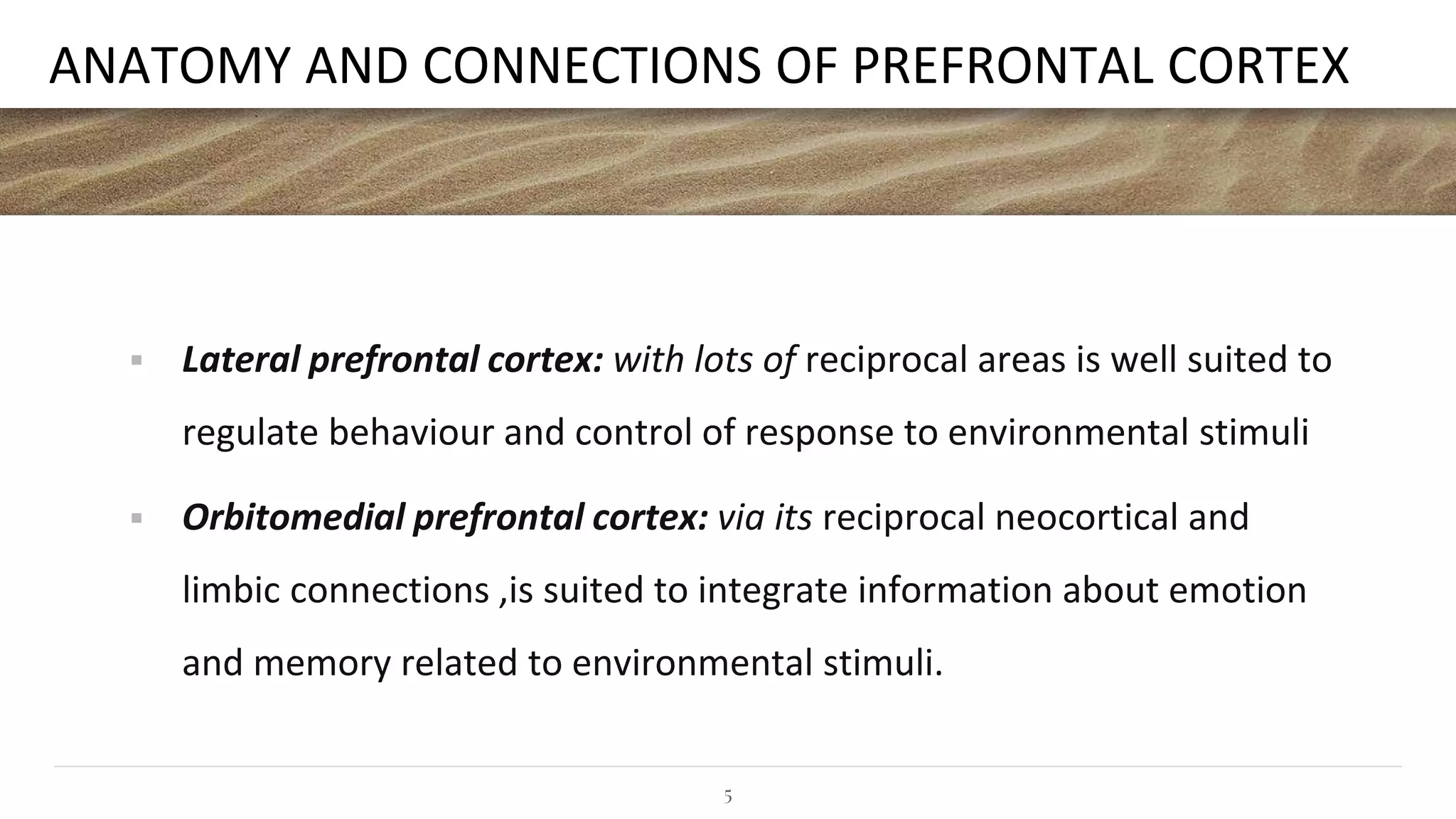 prefrontal cortex | PPTX