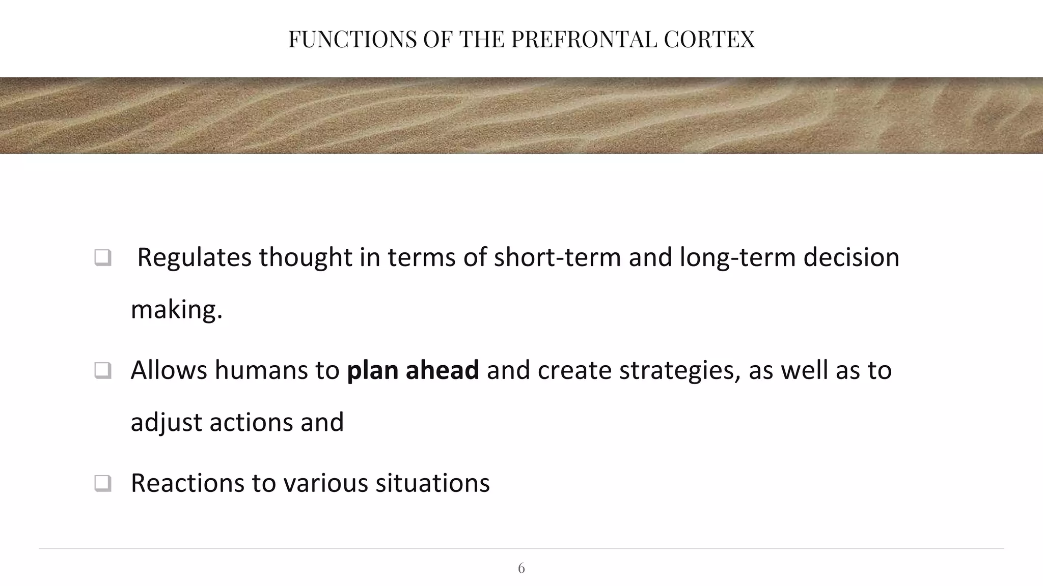 prefrontal cortex | PPTX