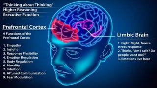 prefrontal cortex | PPTX