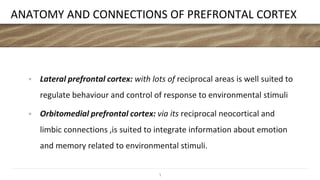 prefrontal cortex | PPTX