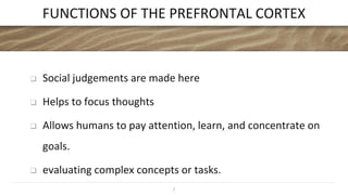prefrontal cortex | PPTX