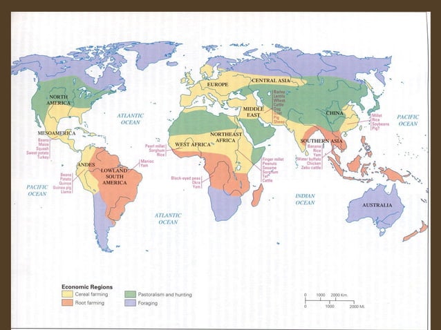 1 prehistory[1] | PPT