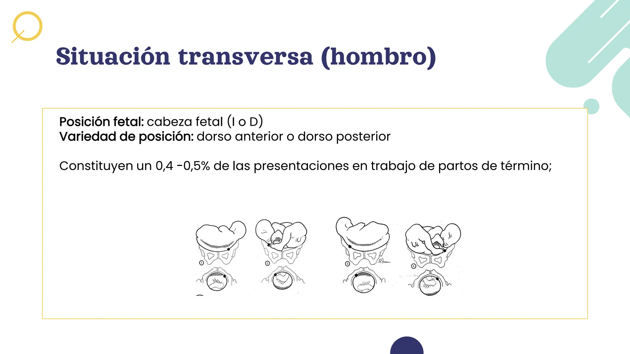 Presentación podálica y transversa y mecanismo de parto | PPTX ...