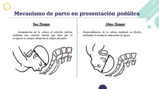 Presentación podálica y transversa y mecanismo de parto | PPTX