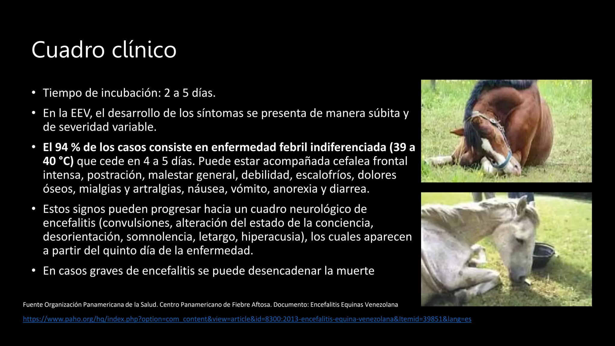 1Presentacion de encefalitis equina ... Rotacion en produccion -Unisarc ...