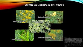 HOW TO PREPARED FOR FARMYARD MANURE IN AGRICULTURE | PDF