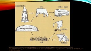 HOW TO PREPARED FOR FARMYARD MANURE IN AGRICULTURE | PDF
