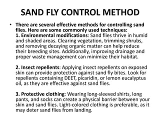 1 Presentation7[1] correctefgggggfffhhhhhhd.ppt