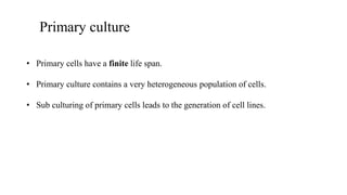 (1) Primary cell culture and cell lines.pdf