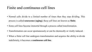 (1) Primary cell culture and cell lines.pdf