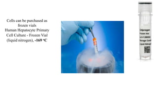 (1) Primary cell culture and cell lines.pdf