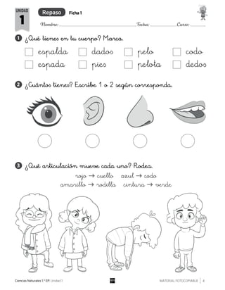 Repaso y refuerzo - Ciencias Naturales - 1º primaria - SM - Mas Sabia | PDF
