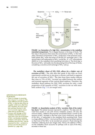 1 principles of acid base physiology | PDF