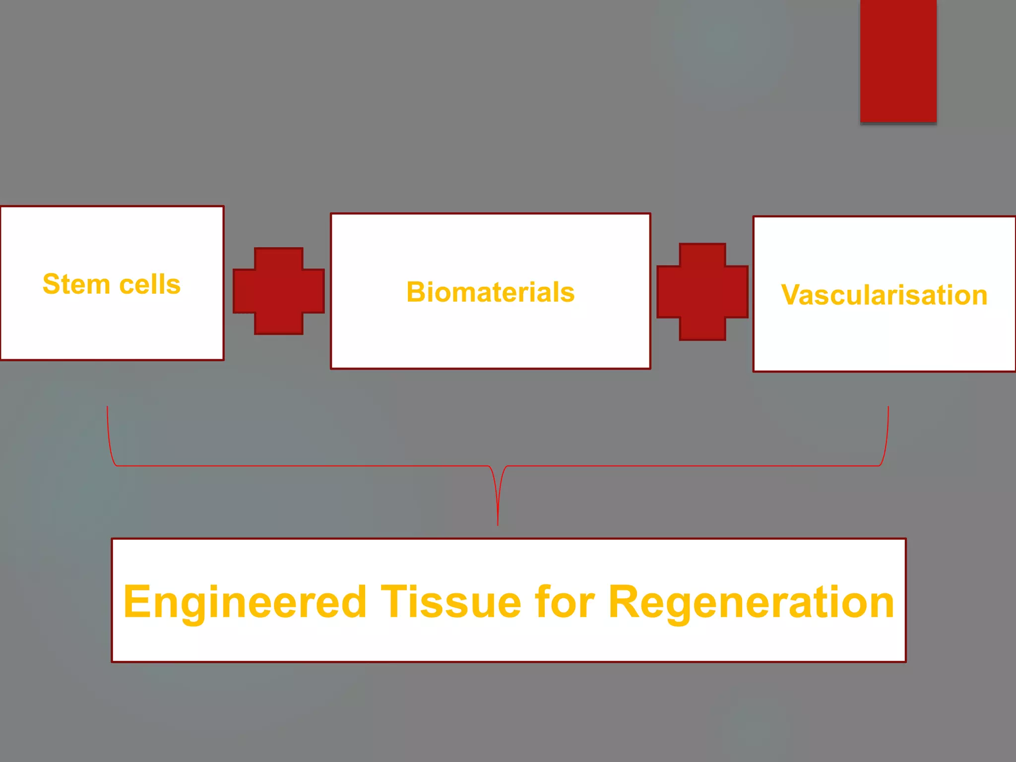 #1 principles of tissue engineering | PPTX