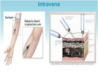 prinsip dan teknik pemberian obat oral, sublingual, ic, sc dan im | PPTX