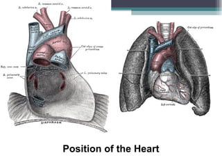 Open heart surgery, cvs | PPT