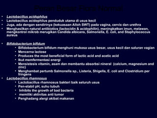 1 Probiotik bakteriologi dan manfaatnyappt | PPT