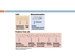 Production of-antibiotic ppt | PPTX