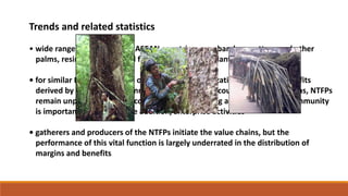 Harnessing NTFPs for the Green Economy in the ASEAN Region | PDF