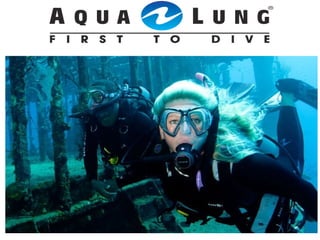 P1* CMAS/SOPAS program | PPT