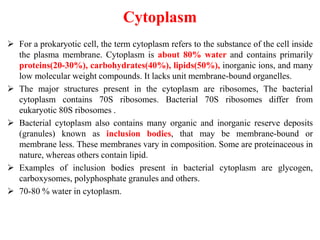 1_prokaryote and eukaryote.pptx