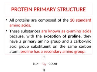 AMINO ACIDS AND PROTEIN IN BIOINFORMATIC | PPTX