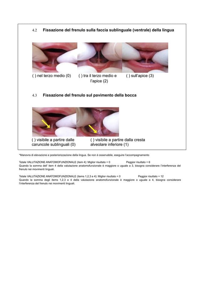 1 protocollo di valutazione del frenulo linguale (neonati) | PDF | Ear, Nose and Throat ...