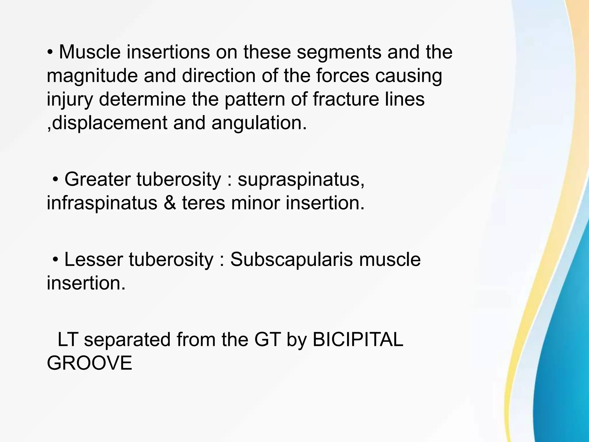 1PROXIMAL_HUMERUS_FRACTURES_SURGICAL_MANAGEMENT_PHILOS_PLATING_FINAL.pptx