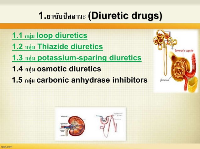 Diuretics drugs | PPT