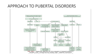 Growth And Pubertal Disorder In Children Pptx