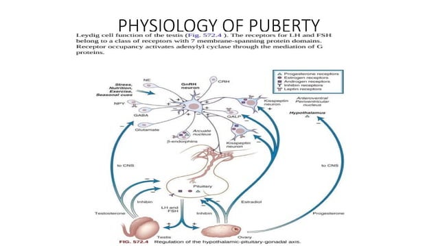 Growth and pubertal disorder in children .pptx