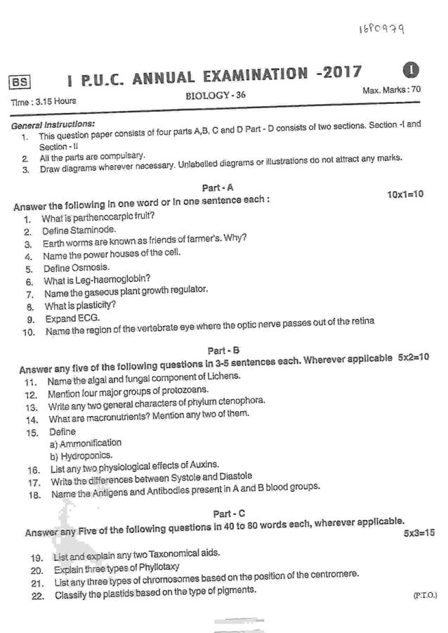 PUC2017_BoardQuestion_paperscience | PDF | Education