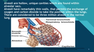 1Q_G9_1.1_Human-Respiratory-System-1.pptx